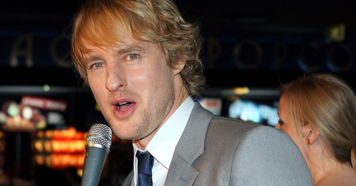 Owen Wilson's Best Roles (Ranked)